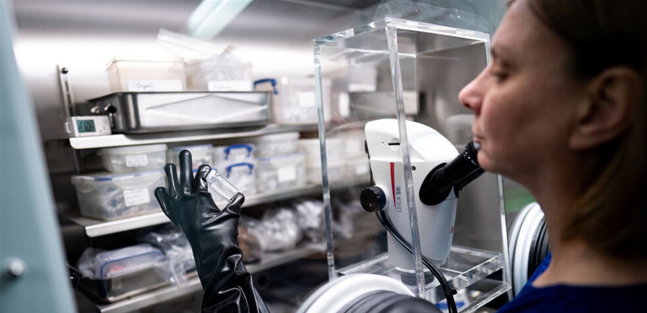 NASA Scientists Successfully Open Asteroid Bennu Sample Capsule ...