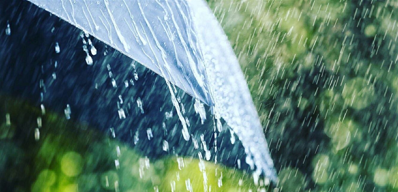 الطقس غدا ماطر والحرارة دون معدلاتها الموسمية